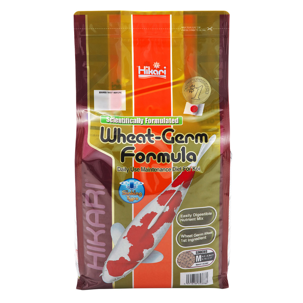 Buy Hikari Wheat-Germ Formula Sinking Daily Maintenance Koi Fish Food ...