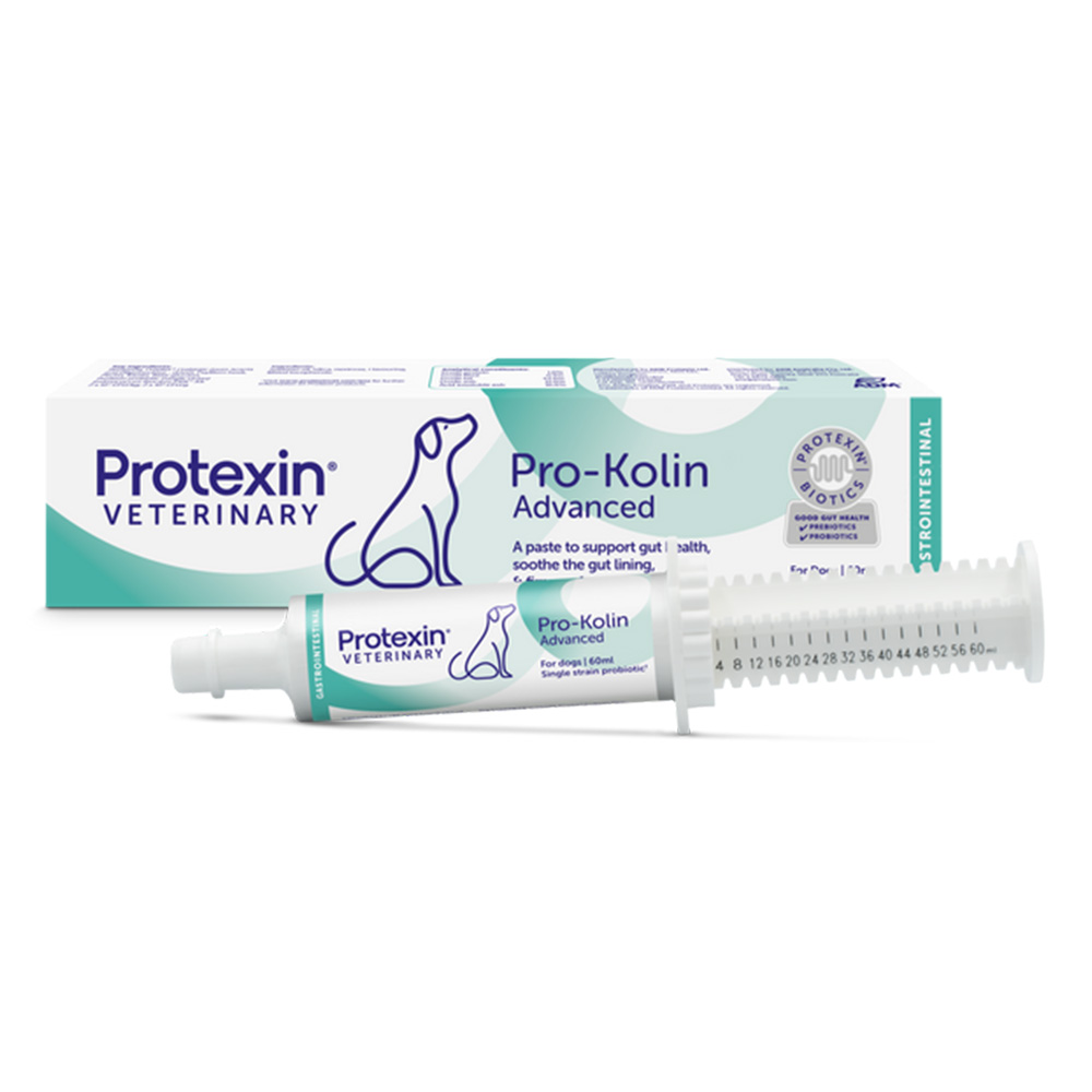 Buy Protexin Veterinary Pro-Kolin Advanced Paste For Dogs - Free Shipping