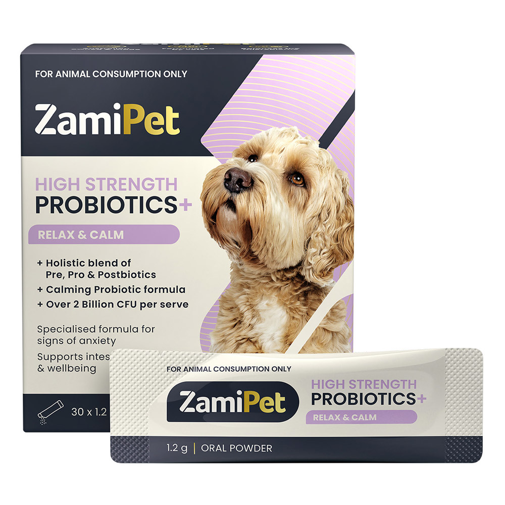 Buy Zamipet High Strength Probiotics + Relax & Calm Oral Powder For Dog ...