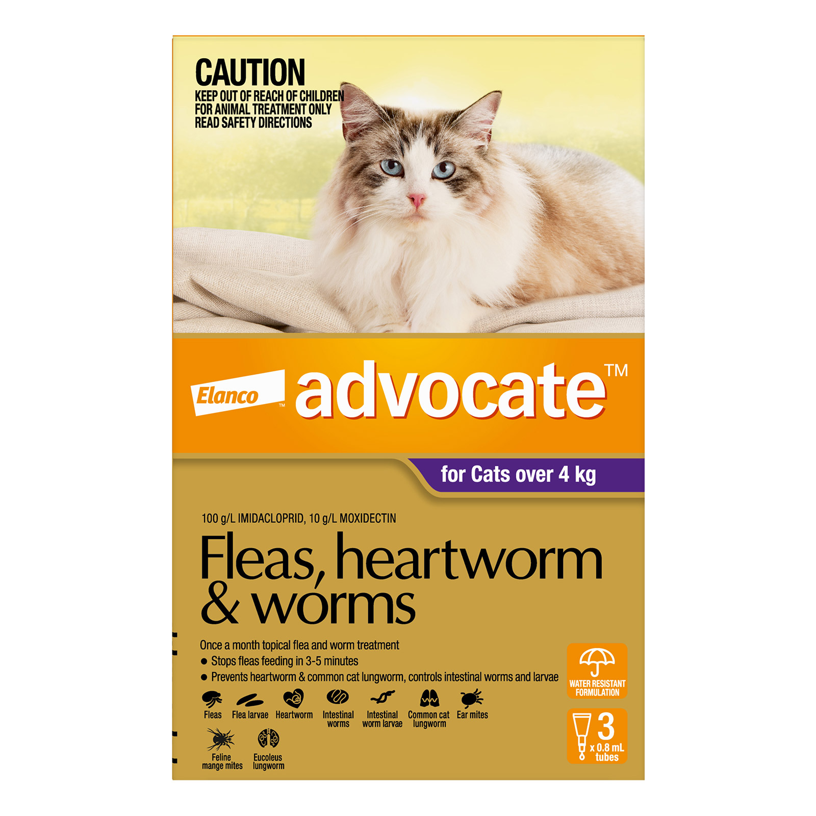 Advocate for Cats | Advocate Cat Flea & Worm Treatment Online