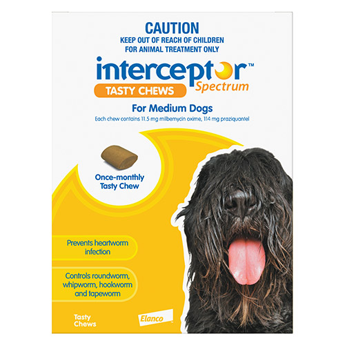 Buy Interceptor Spectrum Chews For Medium Dogs 11 To 22kg (Yellow ...