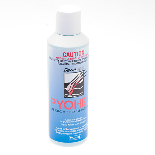 Pyohex Shampoo: Effective Relief for Canine Skin Infections