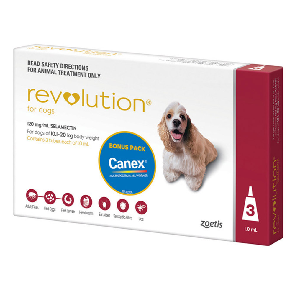 Revolution for Dogs - All-in-One Parasite Protection