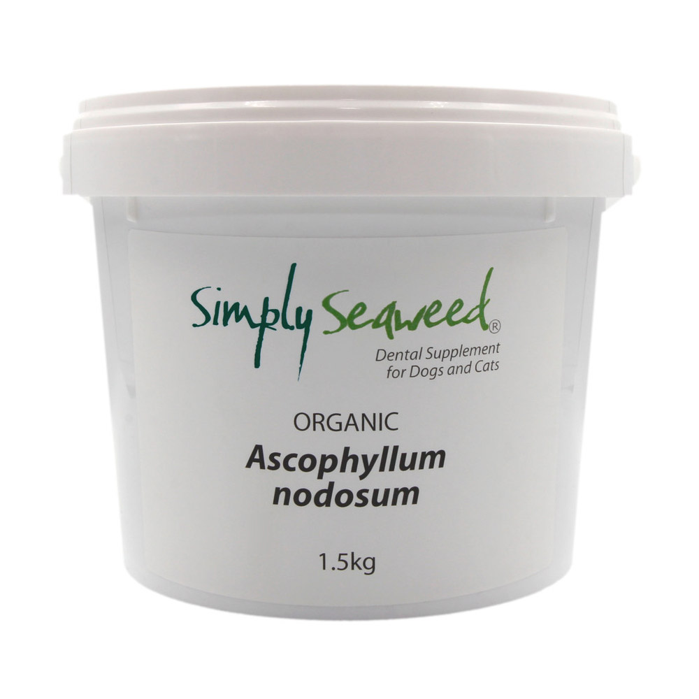 Buy Simply Seaweed Natural Dental Supplement For Dogs And Cats - Free ...