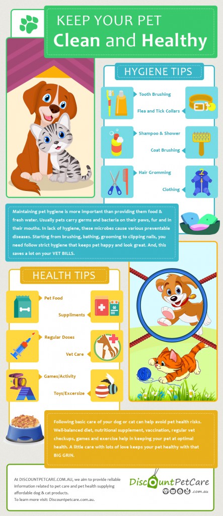 Tips To Keep Your Pet Healthy And Clean | DiscountPetCare