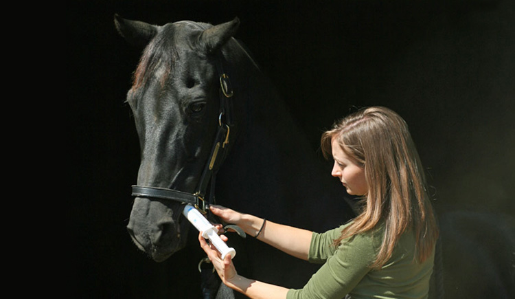 Steps to De-worm the Horse Using Paste Form of Treatment | DiscountPetCare