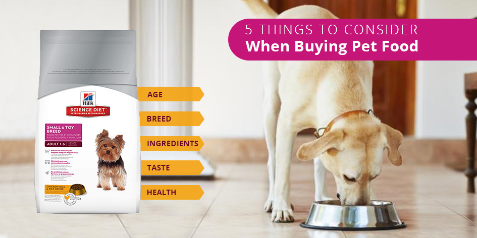 5 Things To Consider When Buying Pet Food | DiscountPetCare