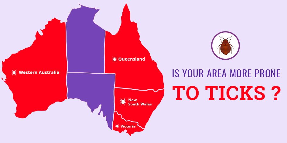 Is Your Area More Prone To Ticks? | DiscountPetCare