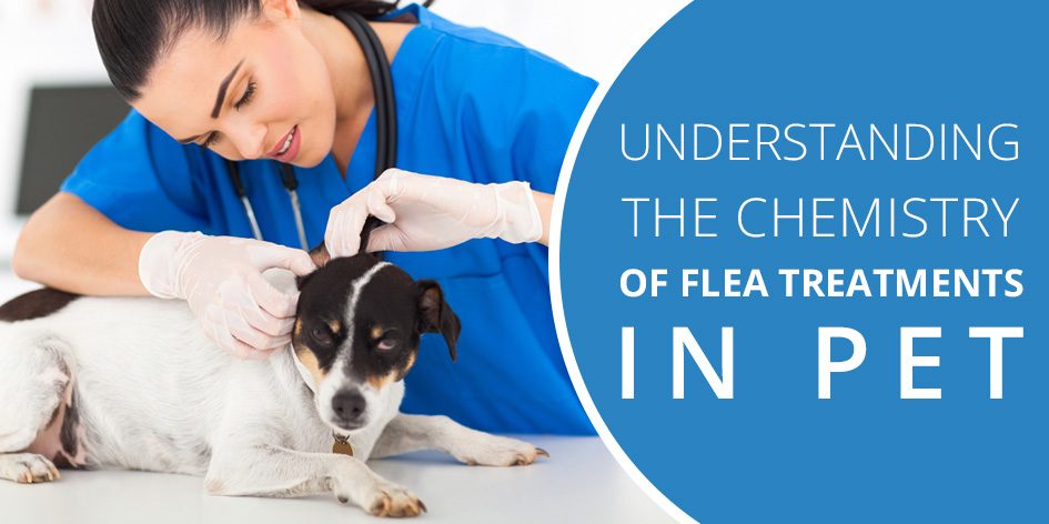 Understanding The Chemistry Of Flea Treatments in Pet | DiscountPetCare