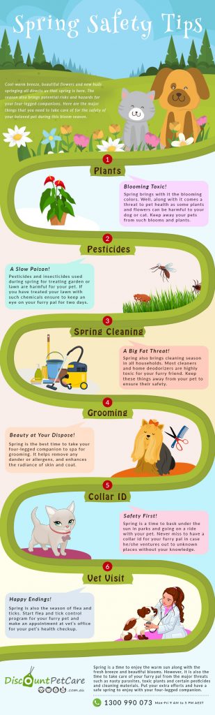 Springtime Safety Tips | DiscountPetCare