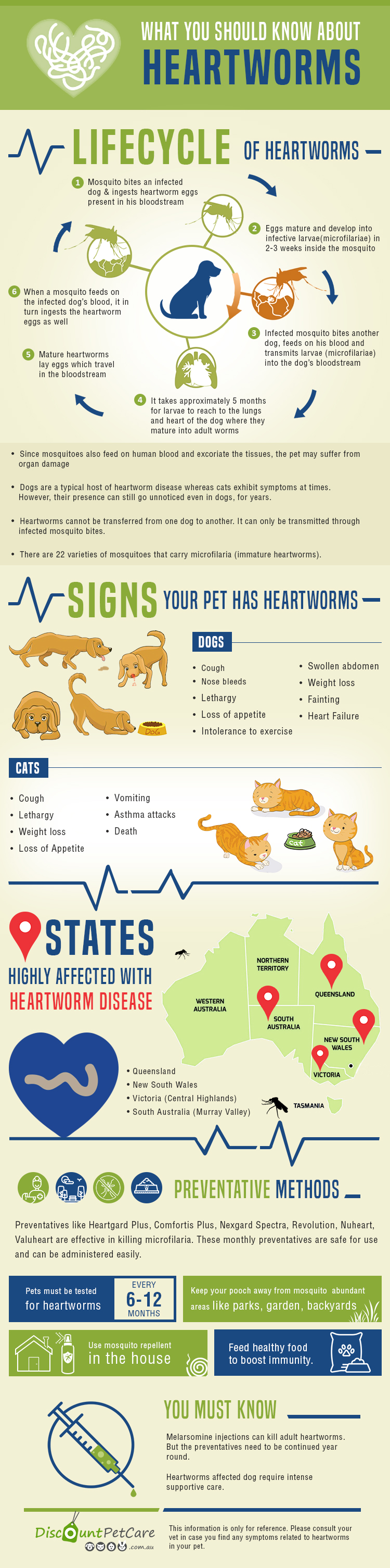 What You Should Know About Heartworms? | DiscountPetCare