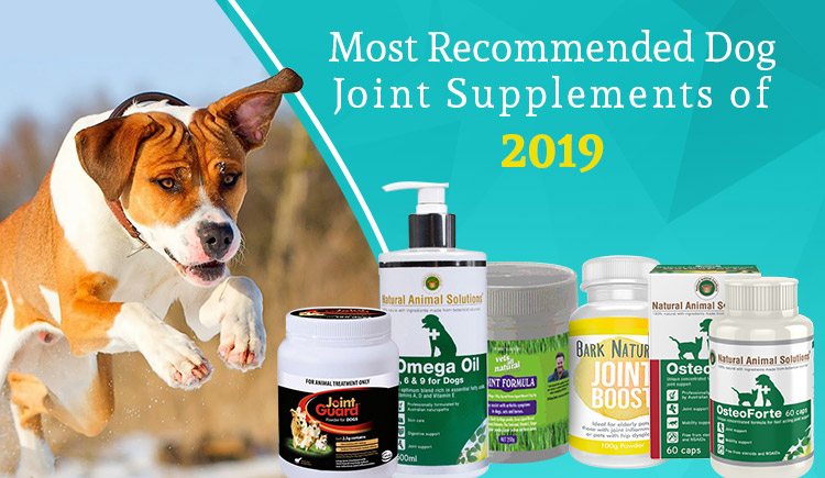 Most Recommended Dog Joint Supplements Of 2019 | DiscountPetCare