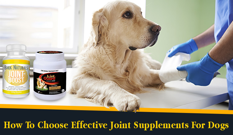 How To Choose Effective Joint Supplements For Dogs | DiscountPetCare