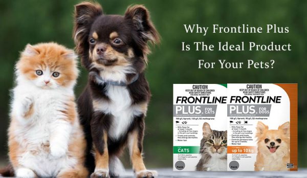 Why Frontline Plus Is The Ideal Product For Your Pets? | DiscountPetCare