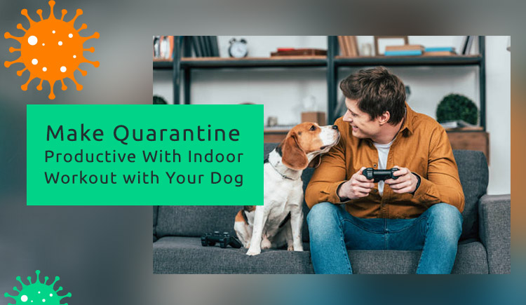 Make Quarantine Productive With Indoor Workout with Your Dog