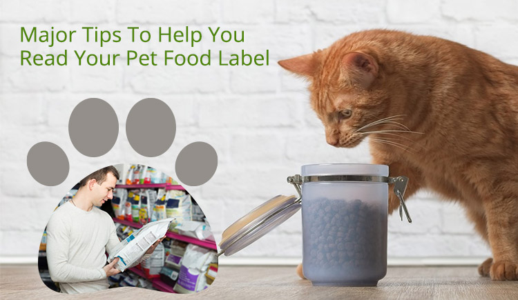 Major Tips To Help You Read Your Pet Food Label | DiscountPetCare