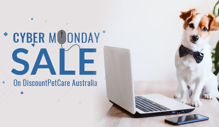 Cyber Monday Sale On DiscountPetCare Australia | DiscountPetCare