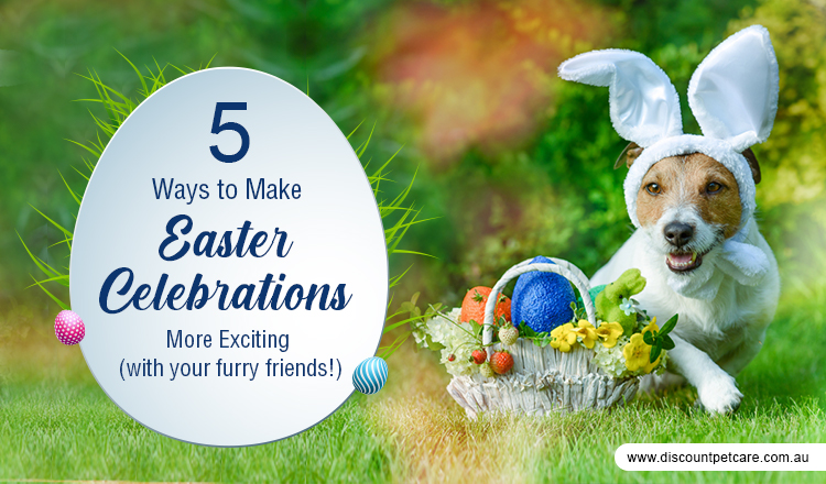 5 Ways to Make Easter Celebrations More Exciting (with your furry friends!)