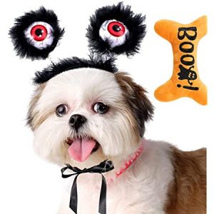 Top 7 Halloween Pet Dangers | DiscountPetCare