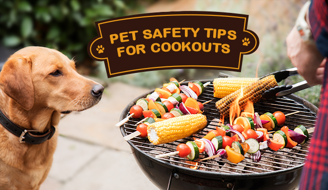 Pet Safety Tips for Cookouts | DiscountPetCare