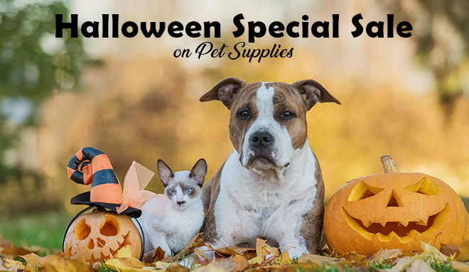 Halloween Special Sale on Pet Supplies | DiscountPetCare