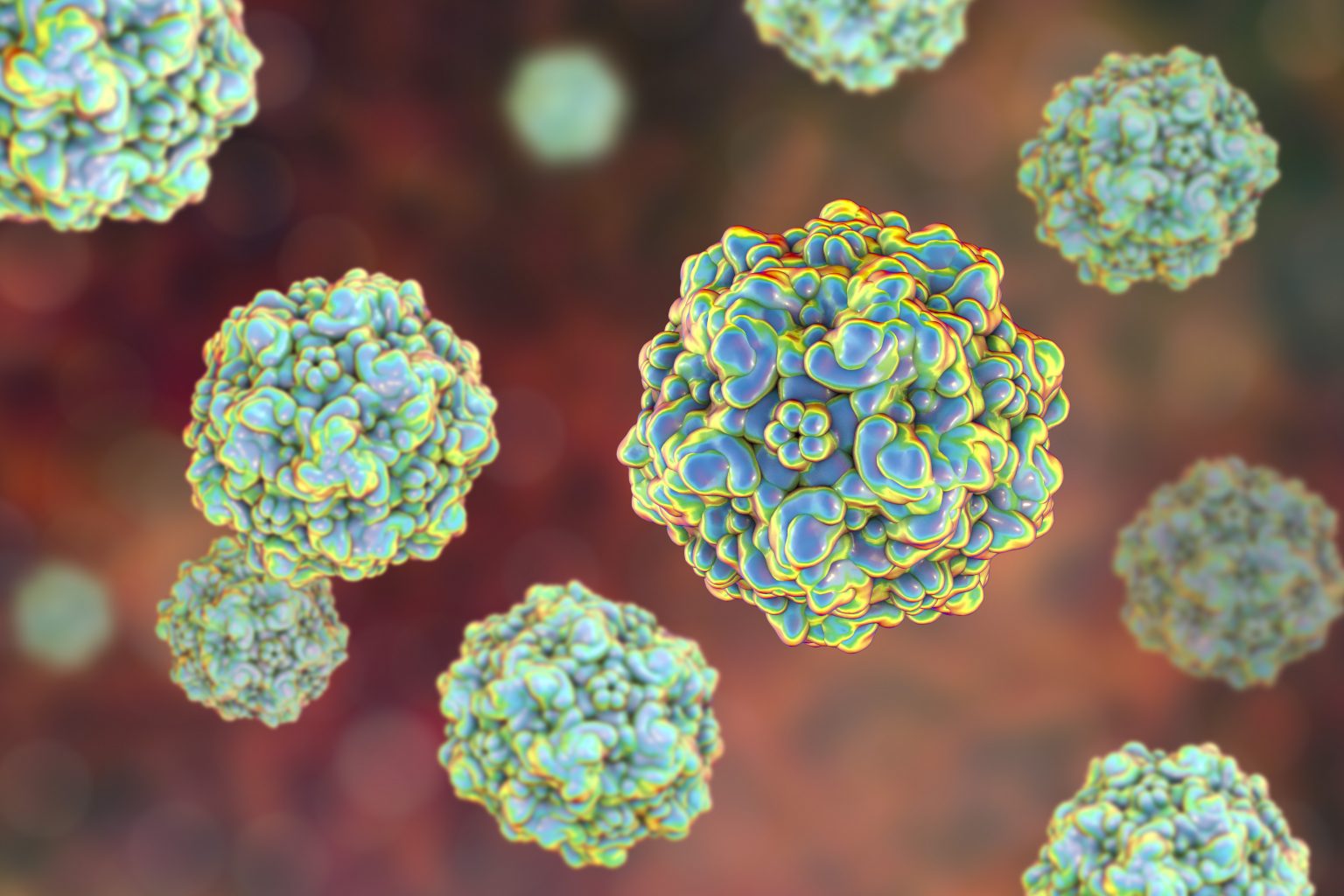 Parvovirus In Dogs: Everything You Need To Know | DiscountPetCare