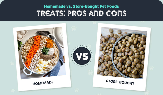 Homemade vs. Store-Bought Pet Foods and Treats: Pros and Cons ...