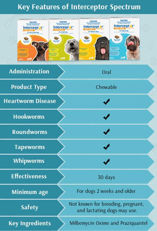 Interceptor Spectrum: Allwormer Treatment for Australian Dogs