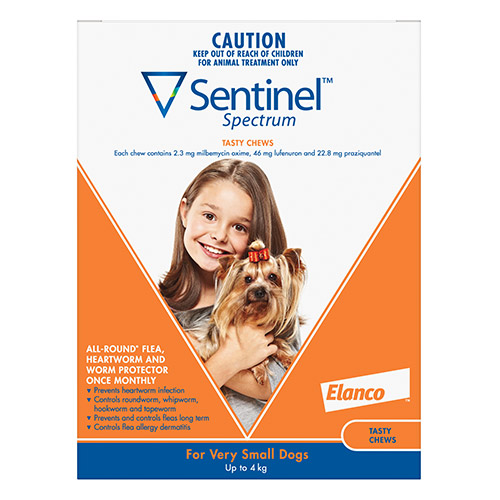 Special Discount On Pet Essentials this Valentine’s Day | DiscountPetCare