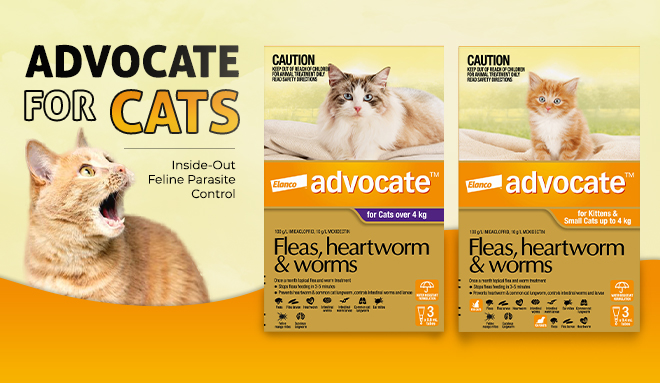 Advocate for Cats: Inside-Out Feline Parasite Control