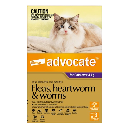 Advocate for Cats: Inside-Out Feline Parasite Control