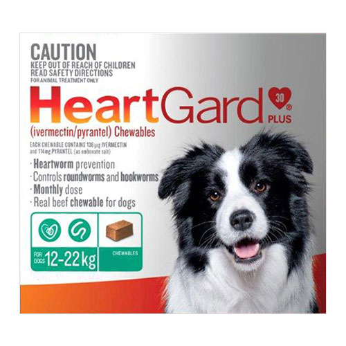 Heartgard Plus Chewables: An Easy Pill for Heartworm Prevention
