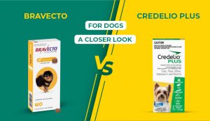 Bravecto vs. Credelio Plus for Dogs: Which is Best for Your Pet?