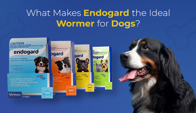 What Makes Endogard the Ideal Wormer for Dogs? Benefits and Features ...