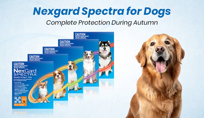 Nexgard Spectra for Dogs - Complete Protection During Autumn