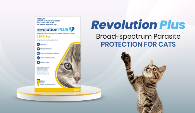 Revolution Plus for Cats – Broad-Spectrum Parasite Protection