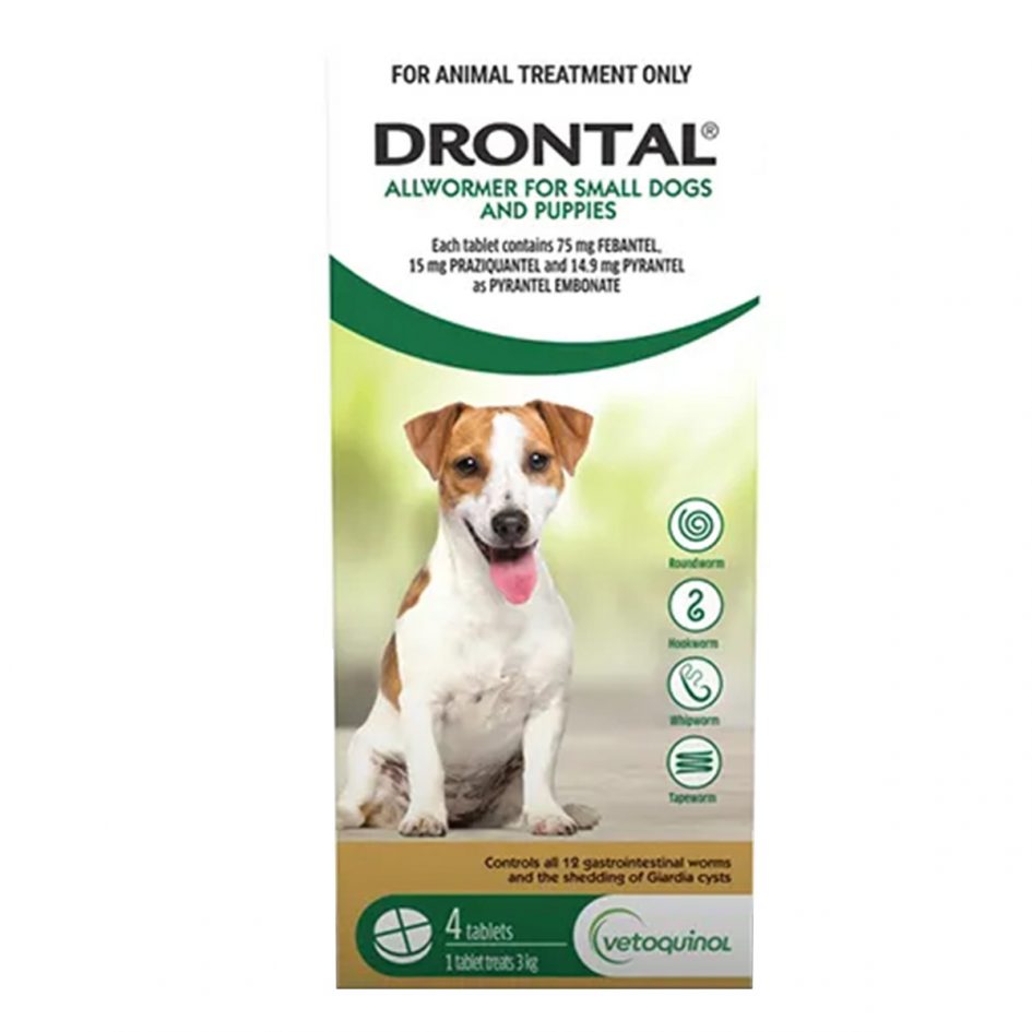 Comparing the Best Flea, Tick & Worm Treatments for Dogs in Australia