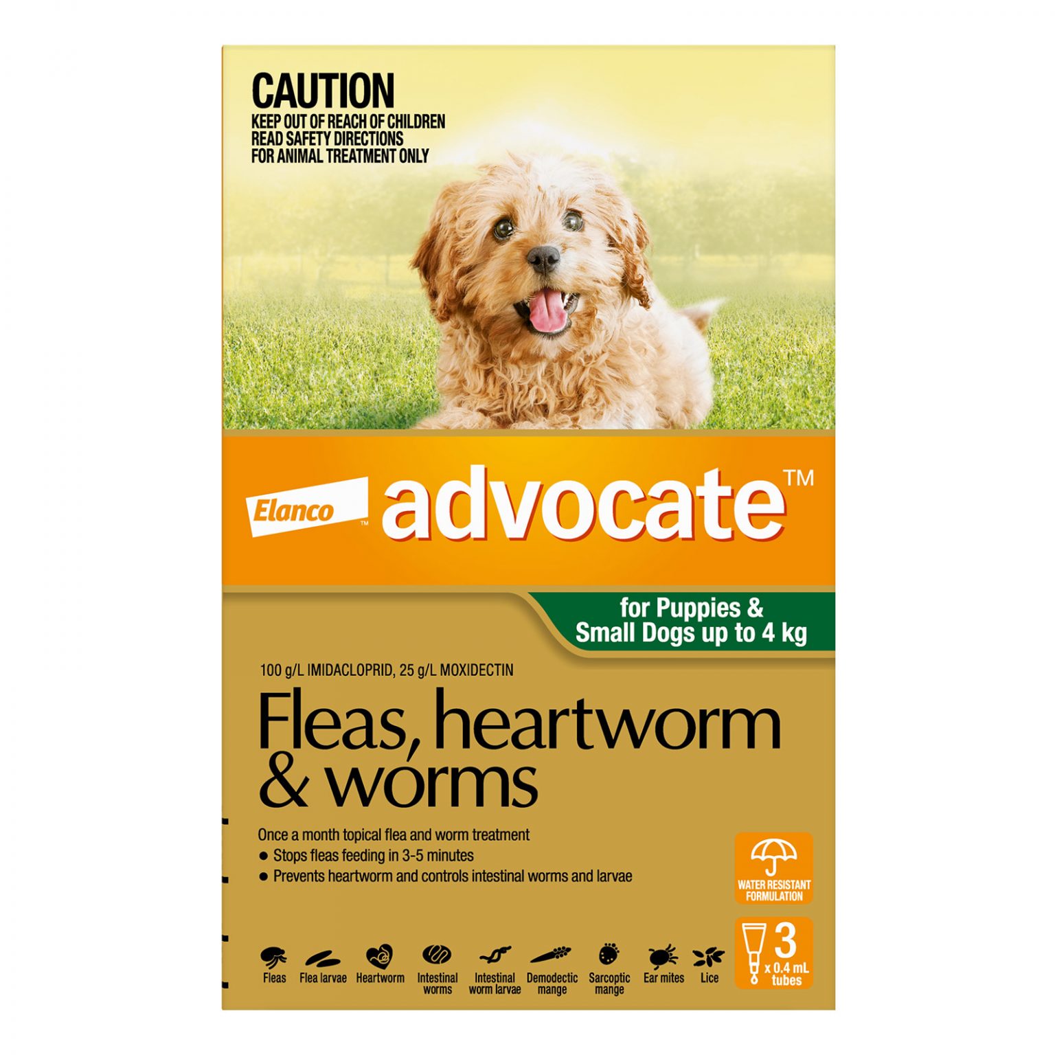 Comparing the Best Flea, Tick & Worm Treatments for Dogs in Australia