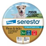 Comparing the Best Flea, Tick & Worm Treatments for Dogs in Australia