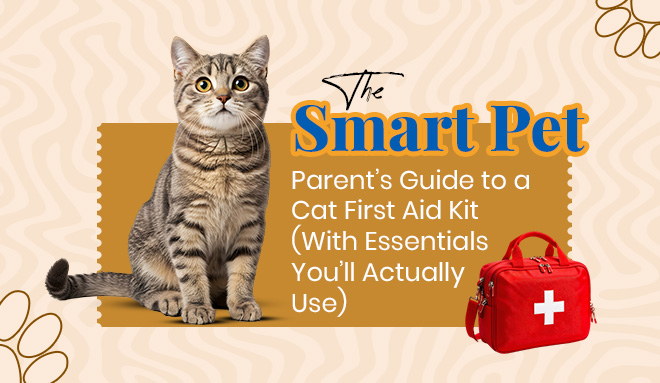 Cat First Aid Kit Essentials: A Smart Pet Parent’s Complete Guide