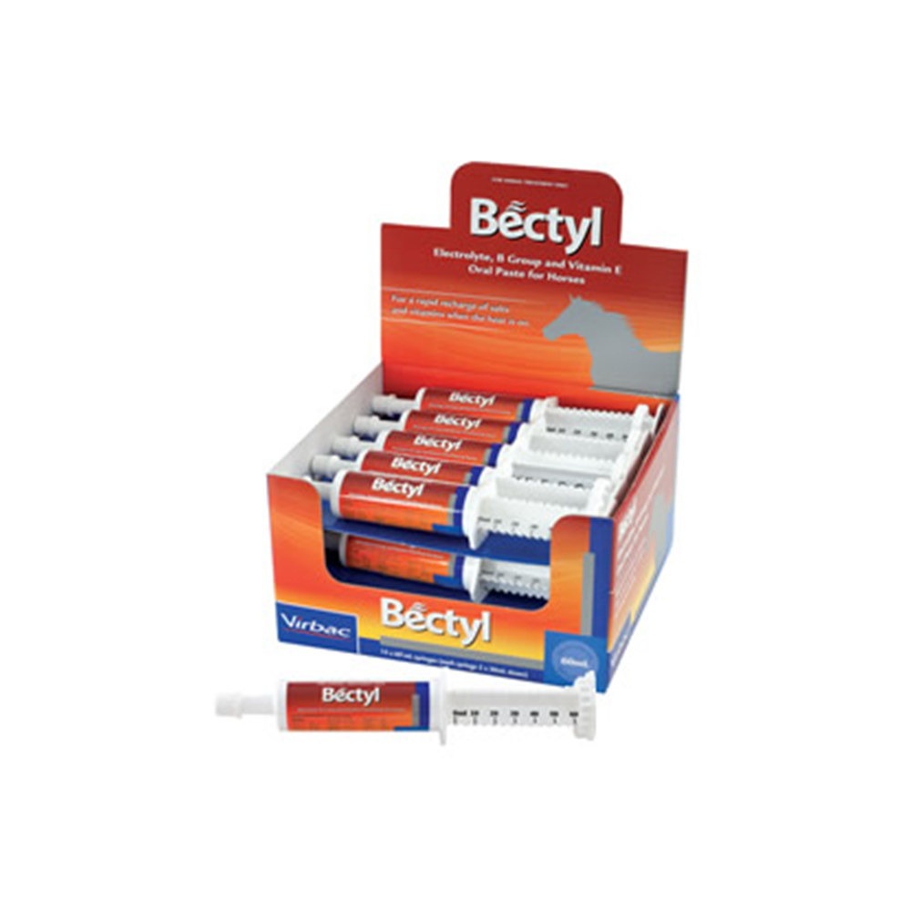 Buy Bectyl Electrolyte B Group And Vitamin E Oral Paste For Horses ...