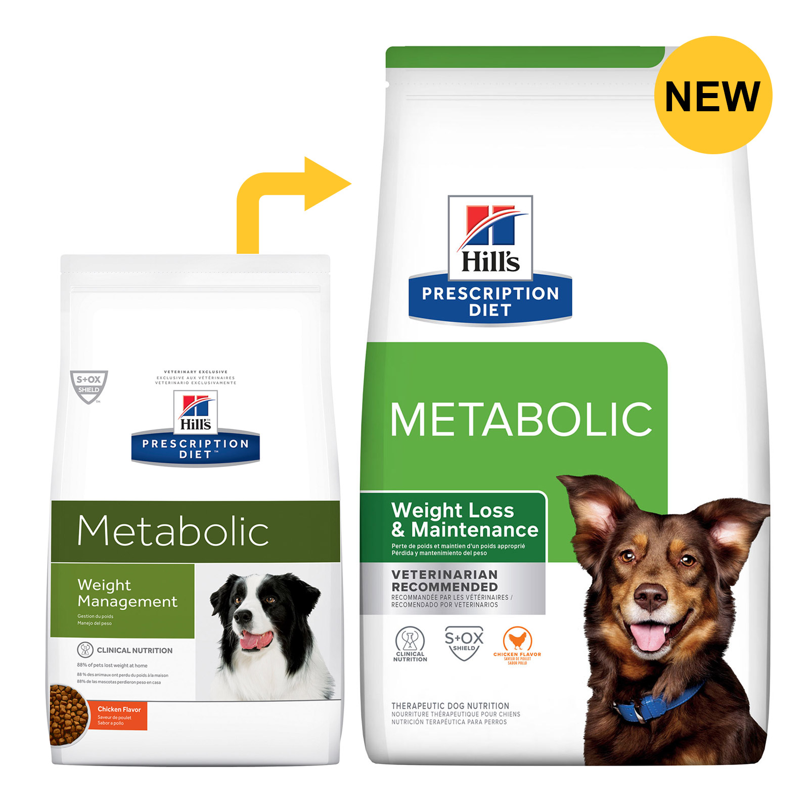 Pet Foods: Discounted Pet Foods from Hill's, Royal Canin and Many More